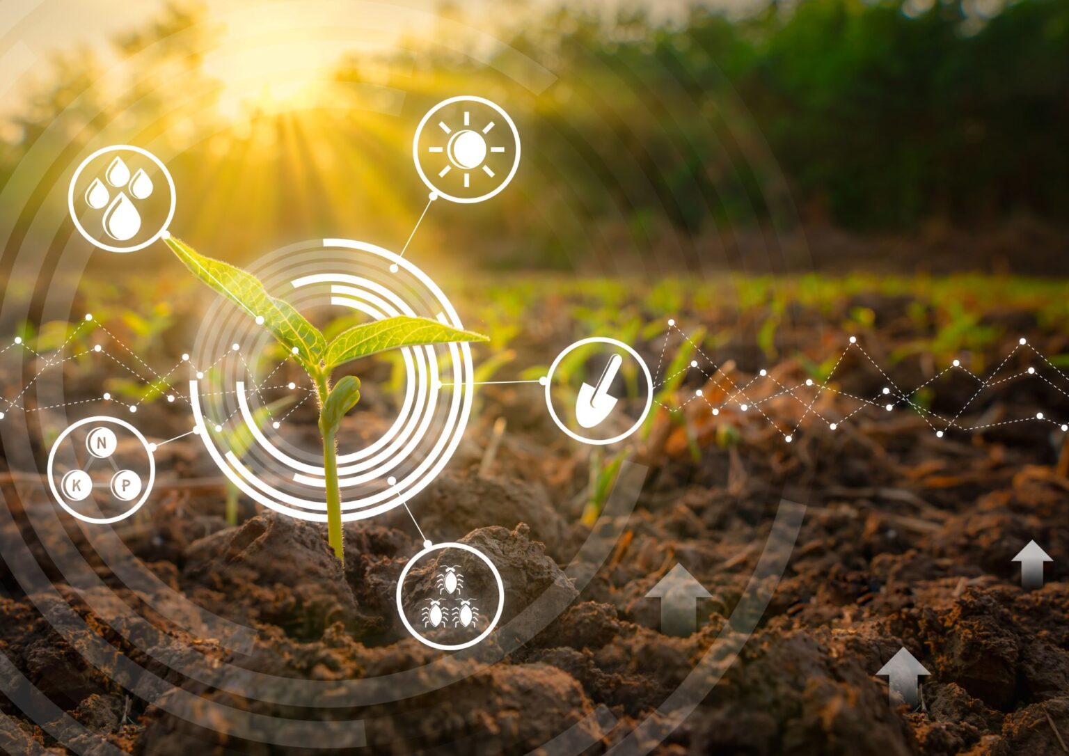 How Spring Affects Agriculture: Opportunities and Challenges