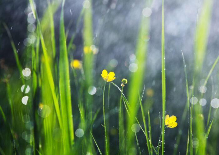 How Spring Affects Agriculture: Opportunities and Challenges