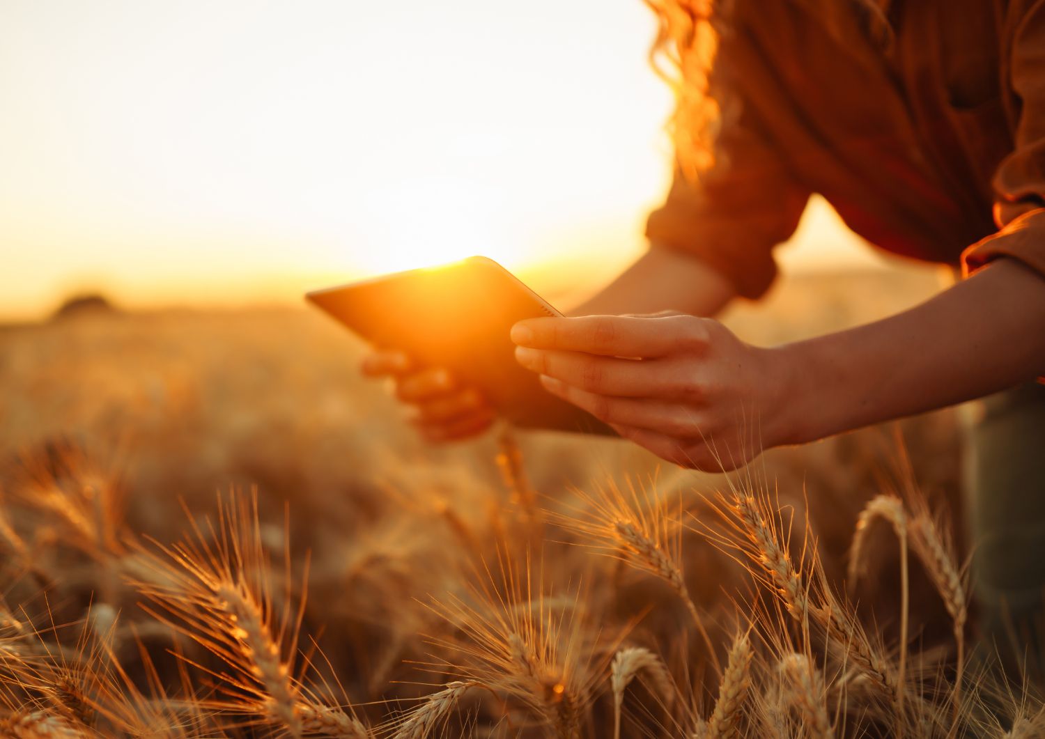 How Spring Affects Agriculture: Opportunities and Challenges