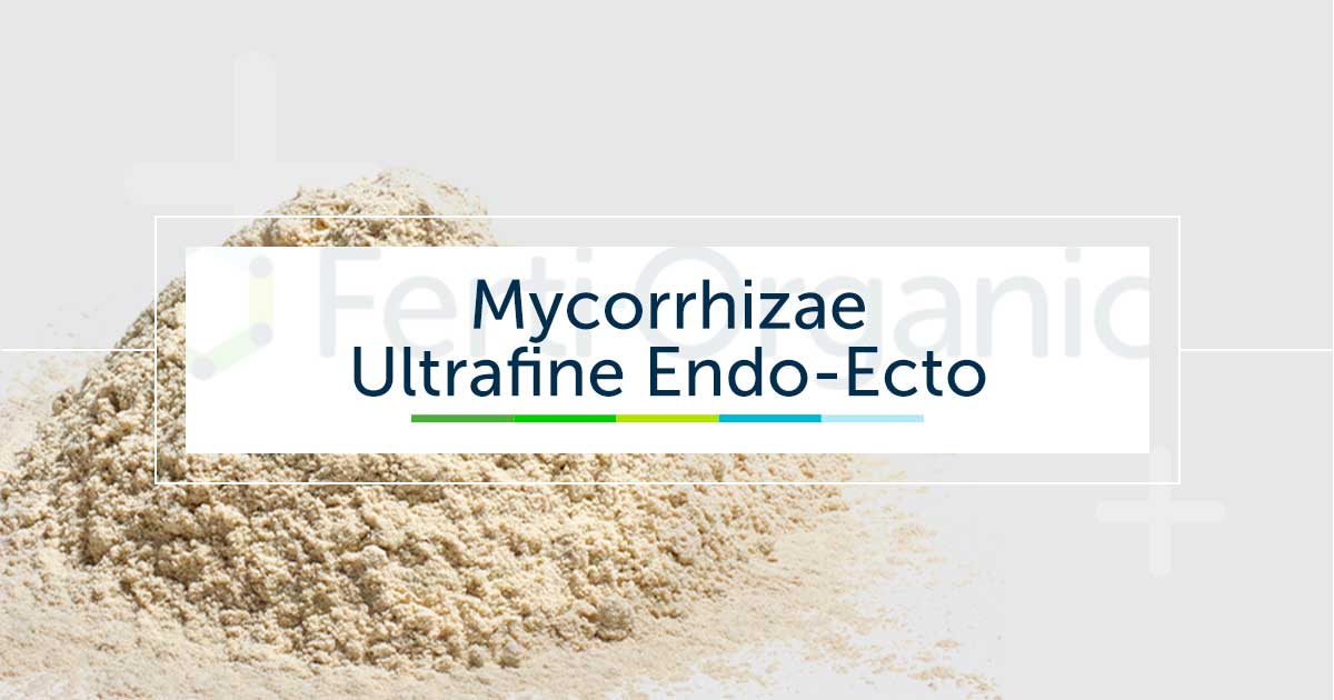 Mycorrhizal inoculum powder scientifically formulate | Ferti Organic