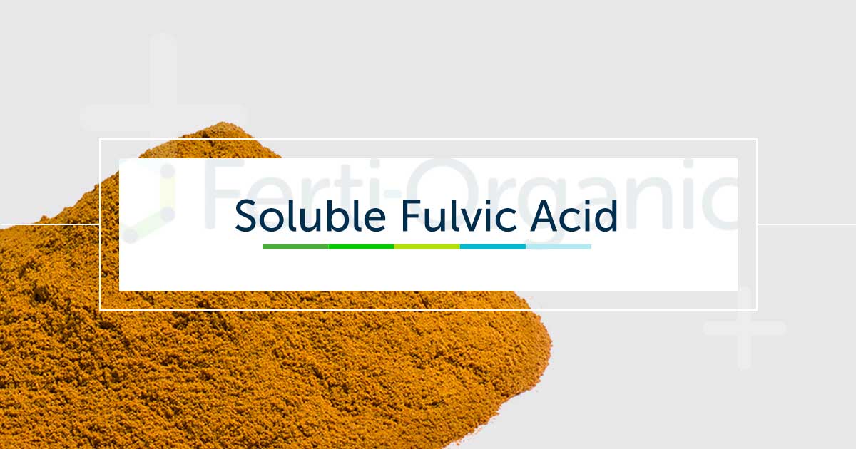 Derived from plants with a 69% of organic fulvic acid | Ferti Organic